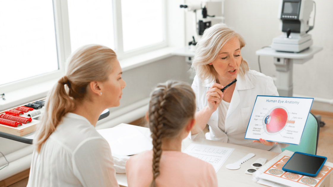 Vitreous Humor Function: Its Surprising Role in Vision Health