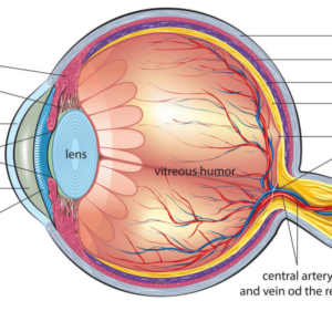 Why Is My Eye Twitching? Causes and Treatments - Eye Pain Center